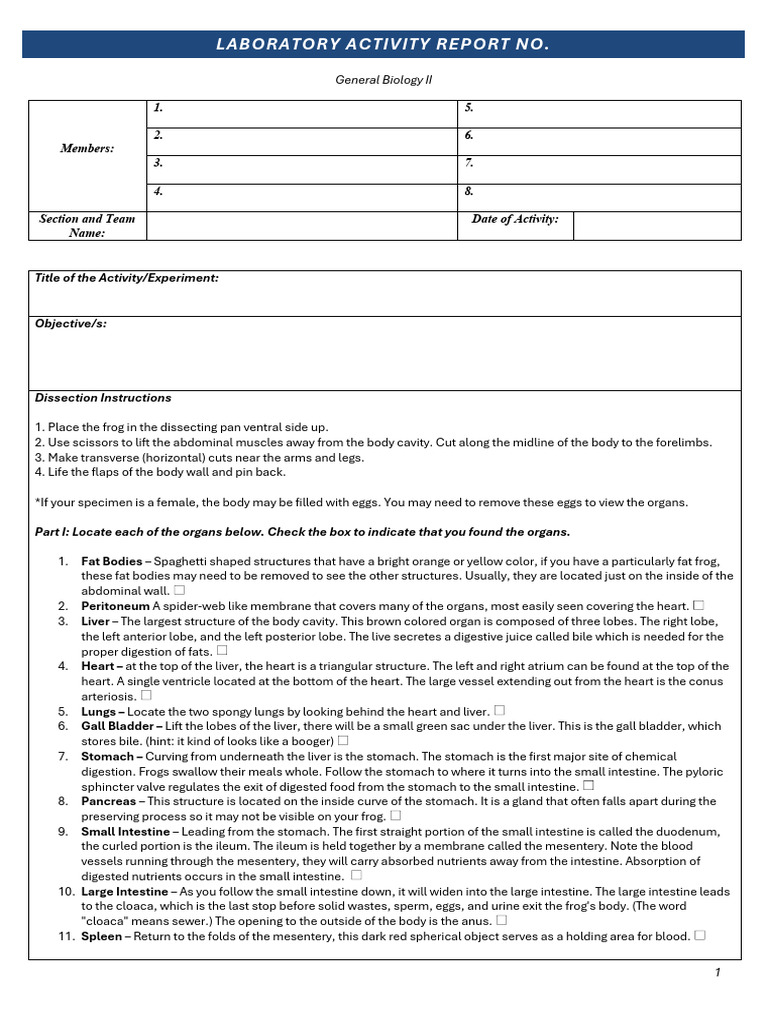 GenBioII LabActivity3 Report Format | PDF | Small Intestine | Stomach