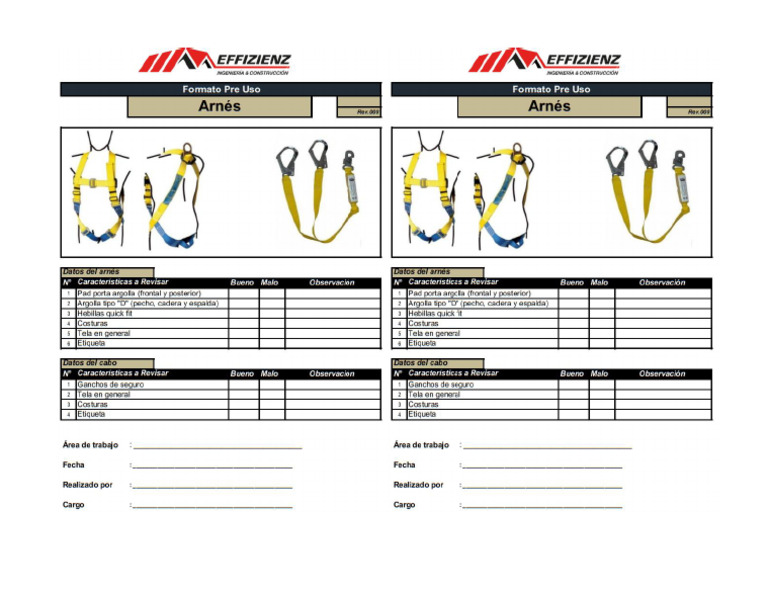 Check List Arnes | PDF