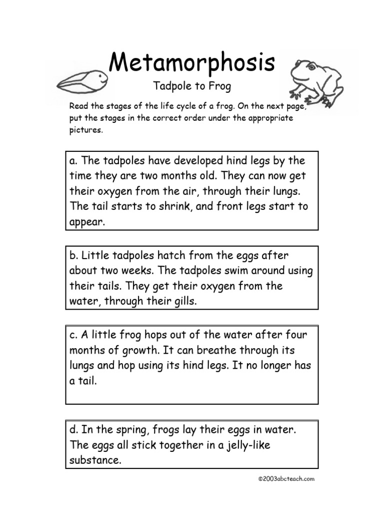 RC Animal Metamorph | PDF