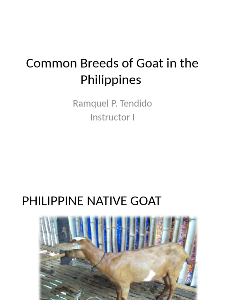 Breeds of Goats | PDF