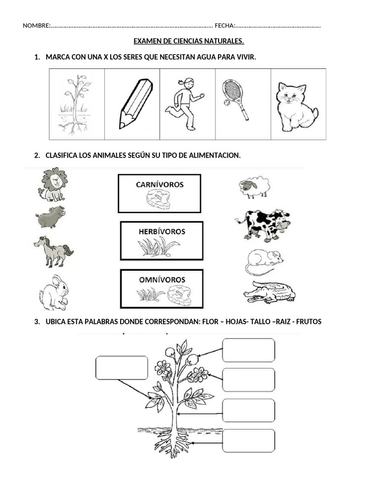 Examen Benicio-Seres Vivos | PDF