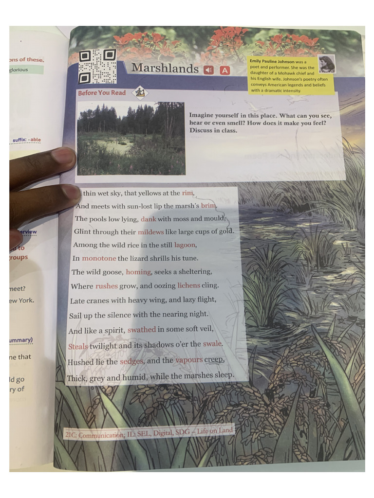 Chapter 5 English | PDF