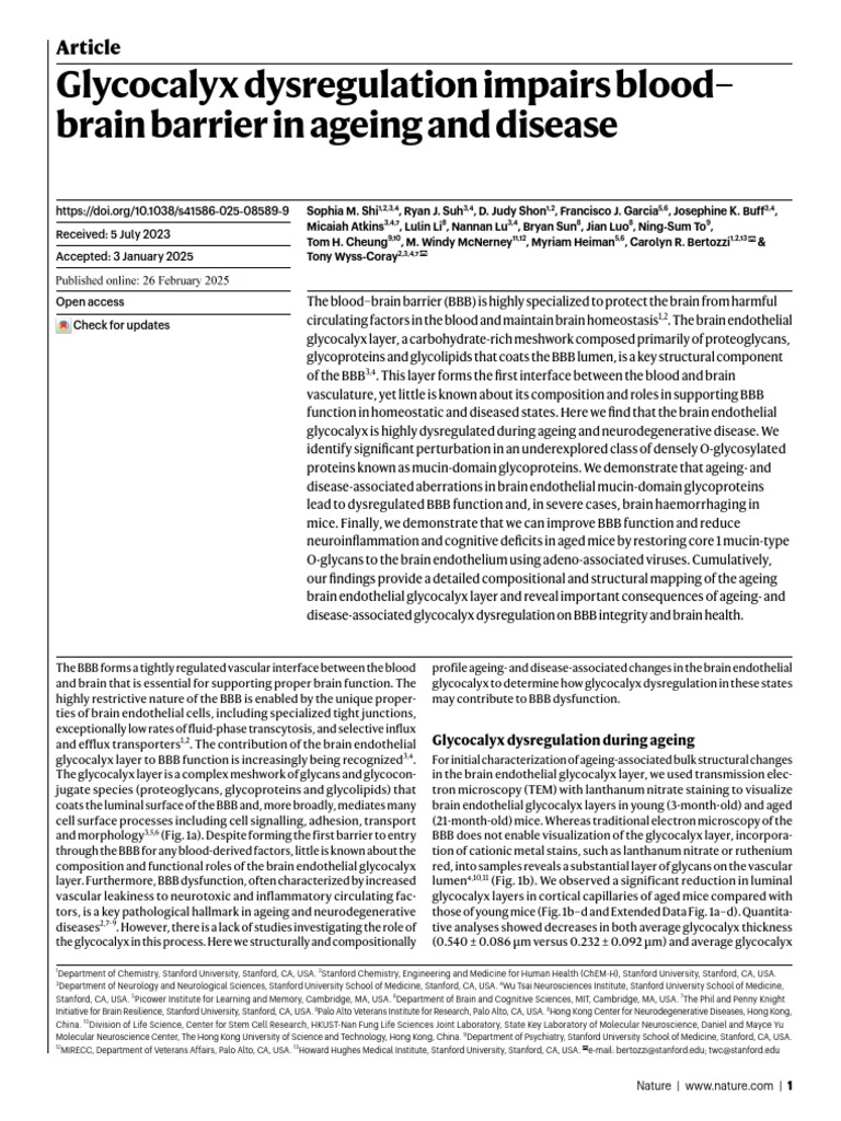 Glycocalyx Dysregulation in Ageing BBB | PDF | Nutrients | Cell Biology