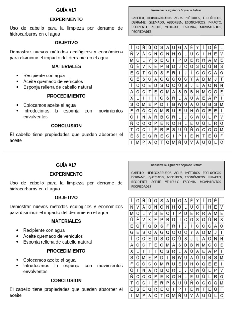 Guia Laboratorio y Sopa D Eletras | PDF
