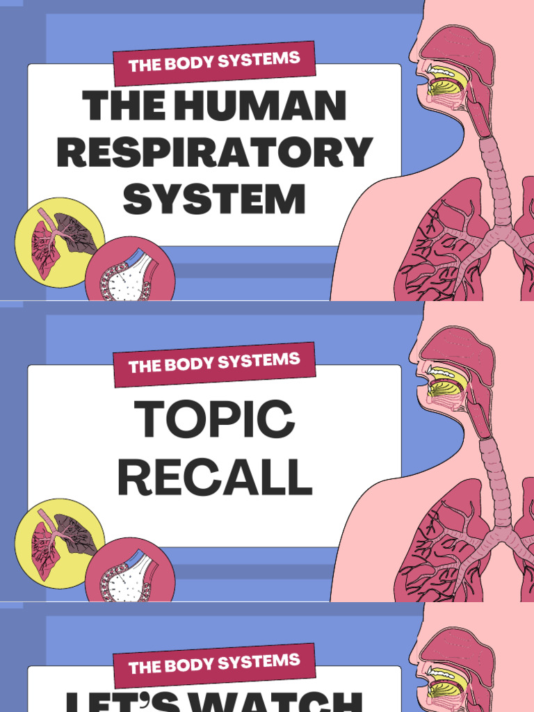 The Respiratory System | PDF
