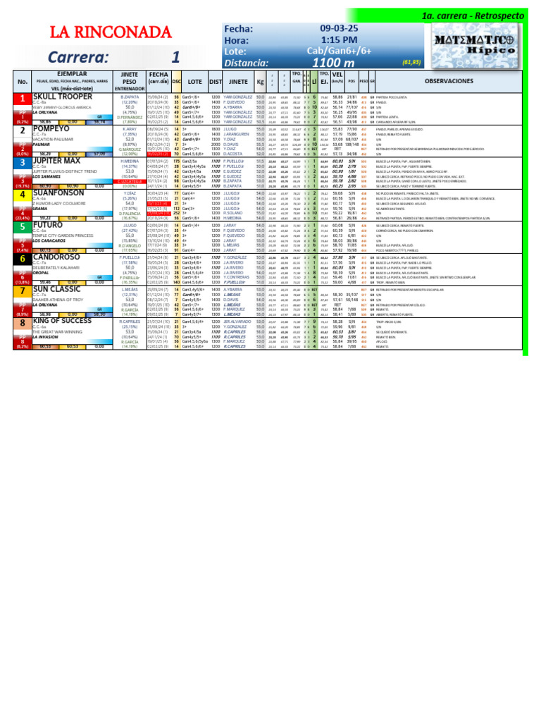 La Rinconada-2 | PDF