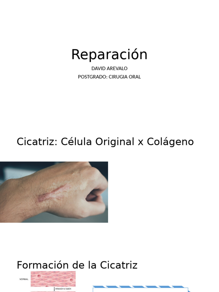 Cicatriz | PDF