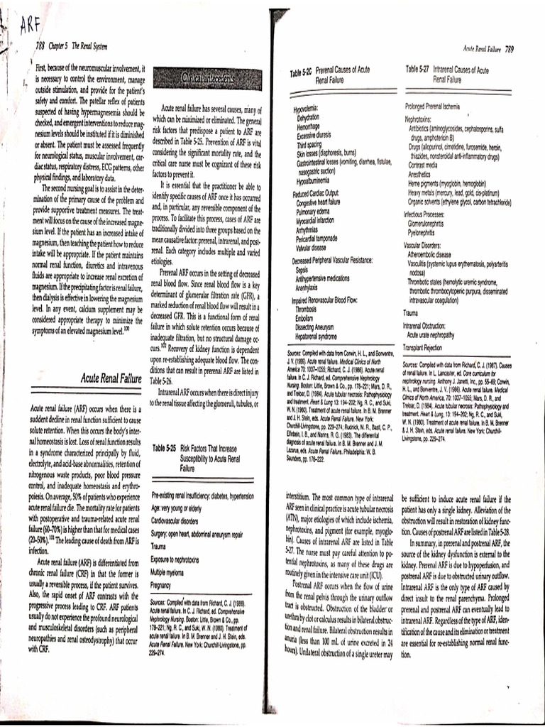 Chapter 5 The Renal System ARF | PDF