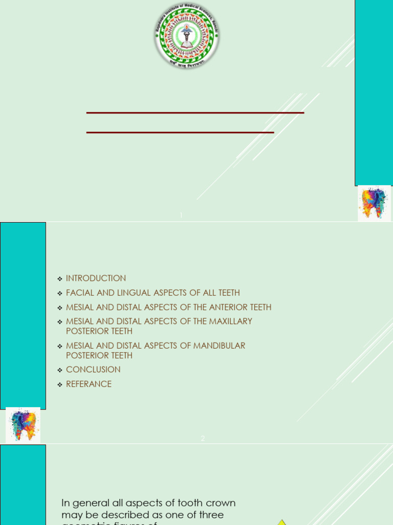Geometric Tooth Morphology Overview | PDF | Tooth | Primate Anatomy