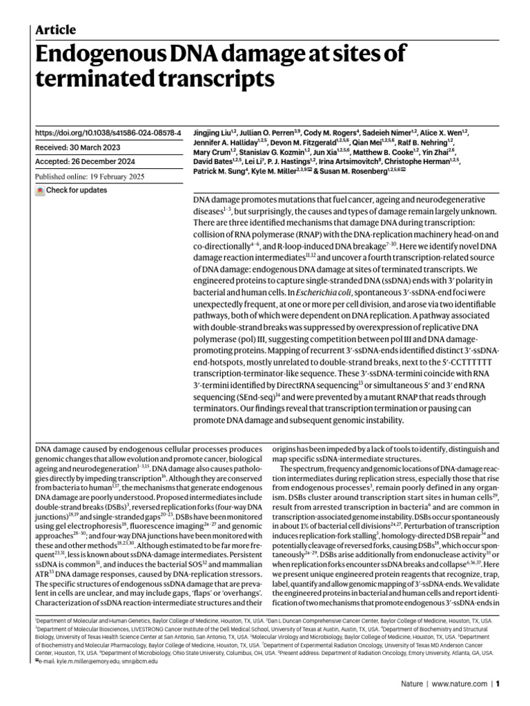 Endogenous DNA Damage at Sites of Terminated Transcripts: Article | PDF ...