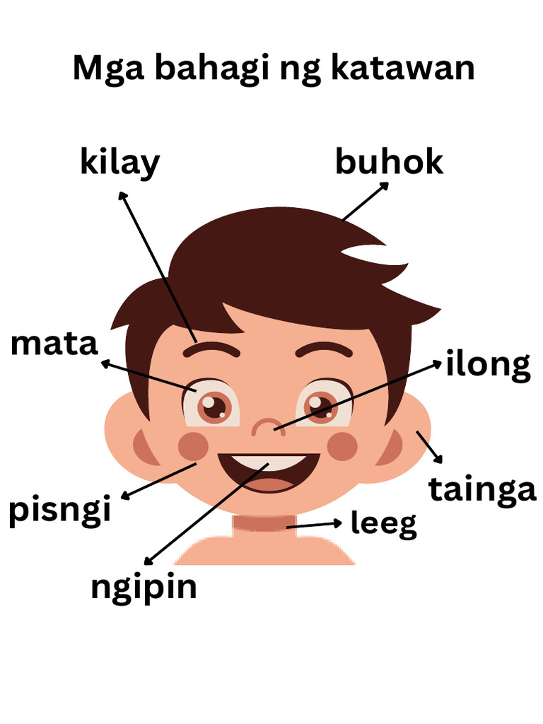 Bahagi NG Katawan | PDF