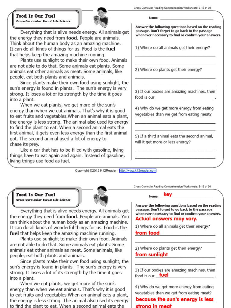 Gr2 Wk13 Food is Our Fuel | PDF | Foods | Plants
