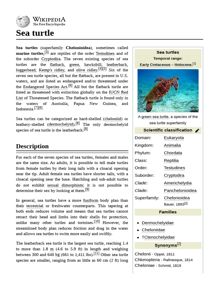 Sea Turtle | PDF | Sea Turtle | Turtle
