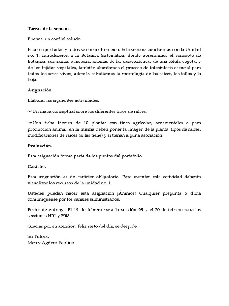 Tarea de La Semana | PDF
