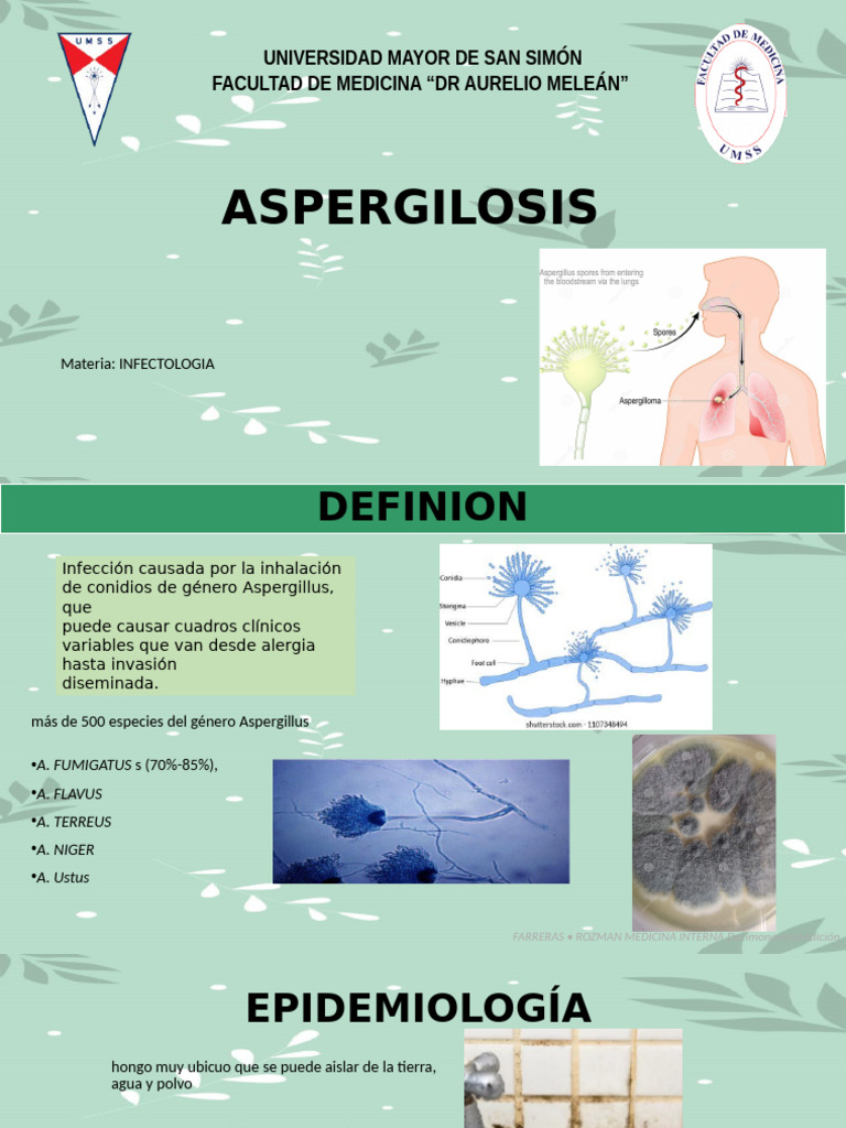 Cómo se contagia la aspergilosis | PDF | Tos | Enfermedades y trastornos humanos