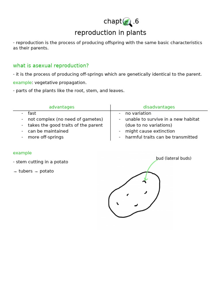 ch16 bio notes IGCSE | PDF | Sexual Reproduction | Reproduction