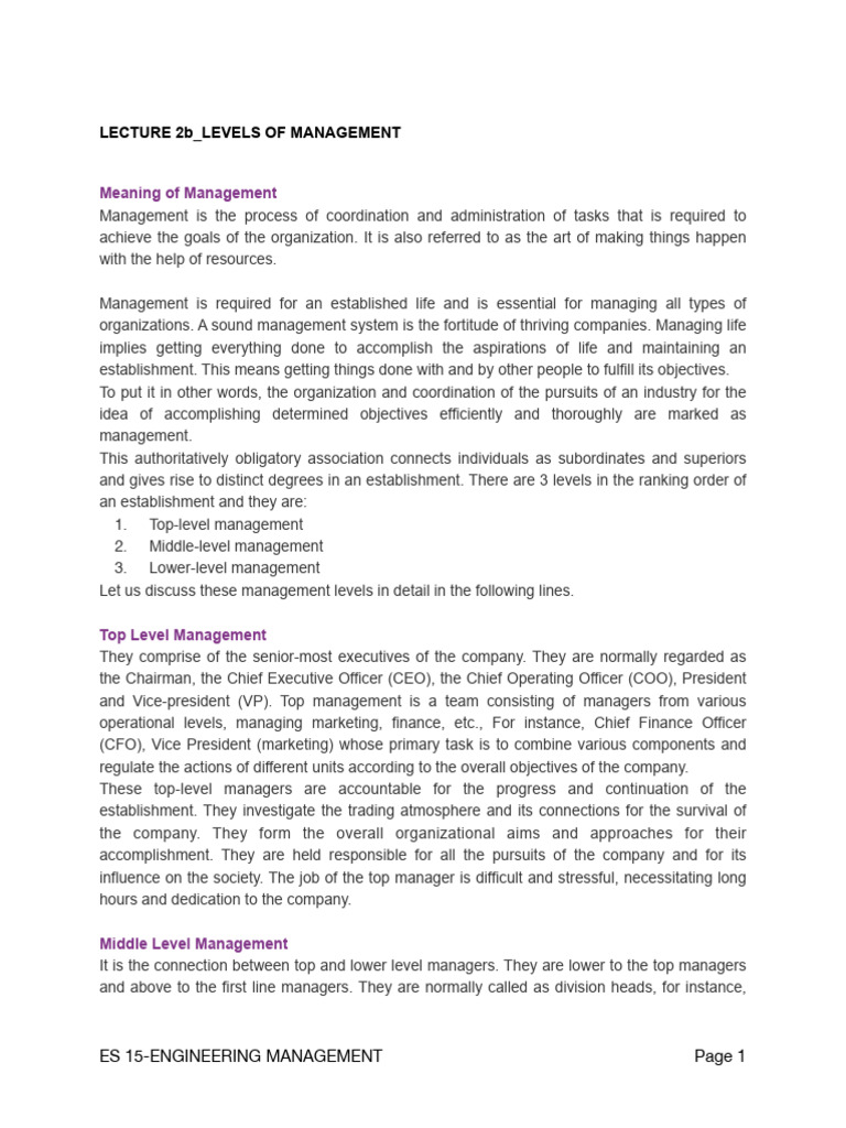 Lecture 2b_Levels of Management_student Copy | PDF | Chief Operating Officer | Social Psychology