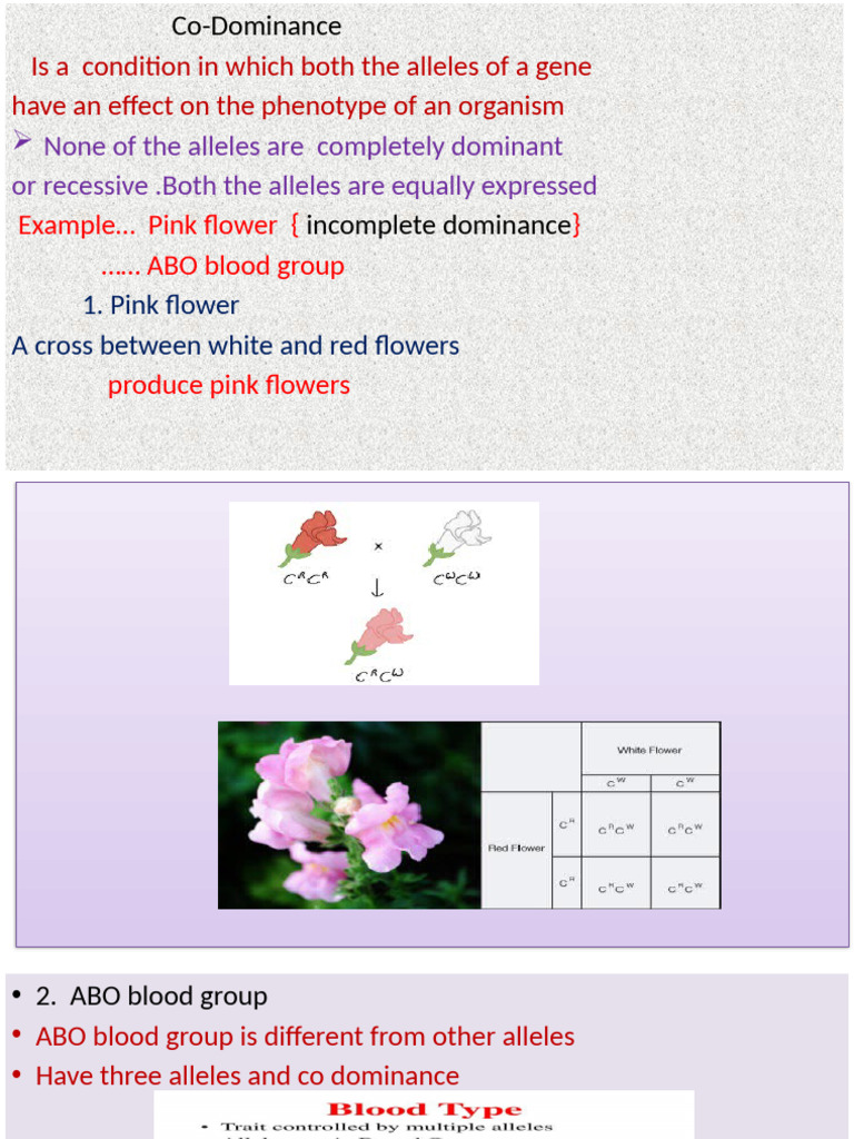 co-dominance | PDF