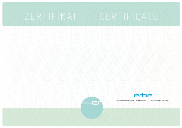 E-Learning - VIO 3 (EN) Ramirez Certificate | PDF