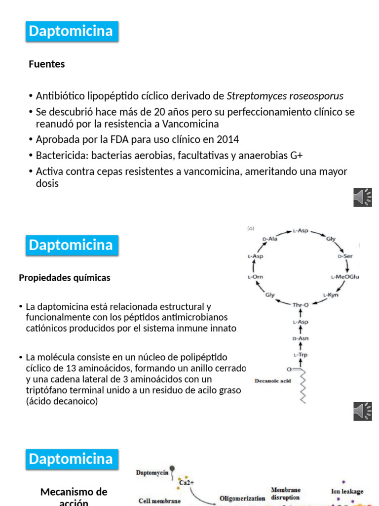 4 Daptomicina | PDF | Staphylococcus Aureus | Sistema inmune