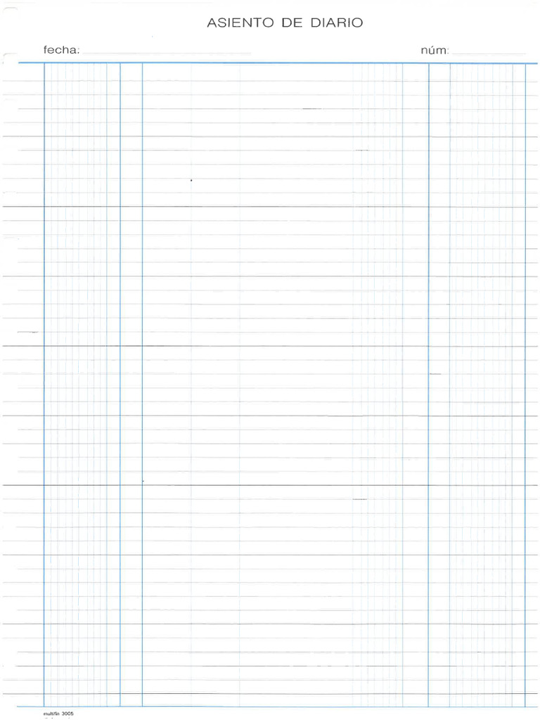 Libro Diario | PDF