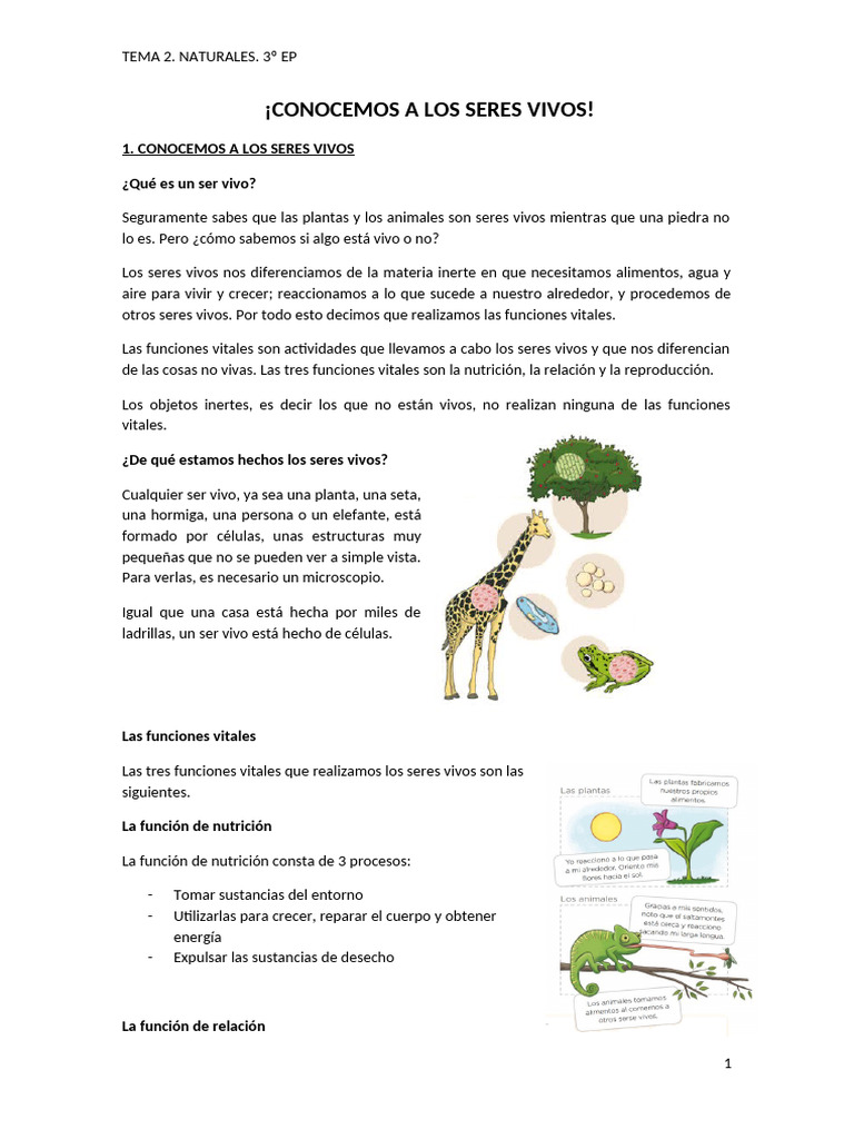 Funciones Vitales de los Seres Vivos | PDF | Plantas | Flores