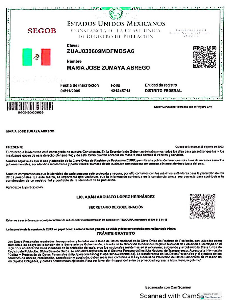 CURP | PDF