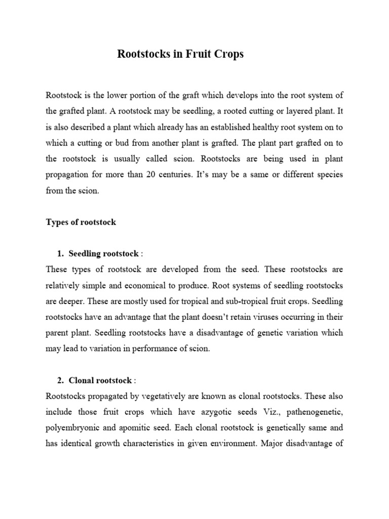 Importance of Rootstocks in Fruit Crops | PDF | Grafting ...