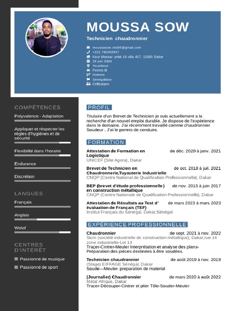 Moussa Sow. CV. | PDF