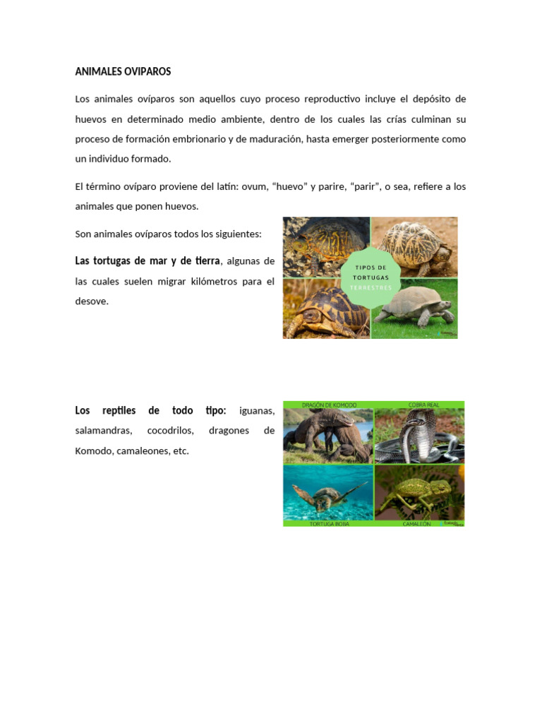Tipos de Animales: Ovíparos y Vivíparos | PDF
