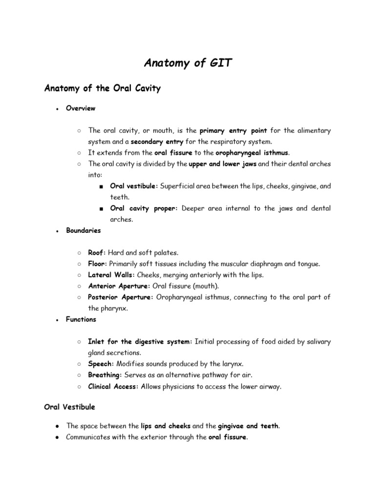 Anatomy of GIT | PDF | Peritoneum | Tongue