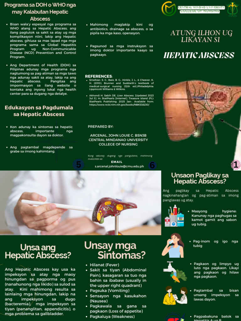 Arcenal - Hepatic Abscess - Pem | PDF