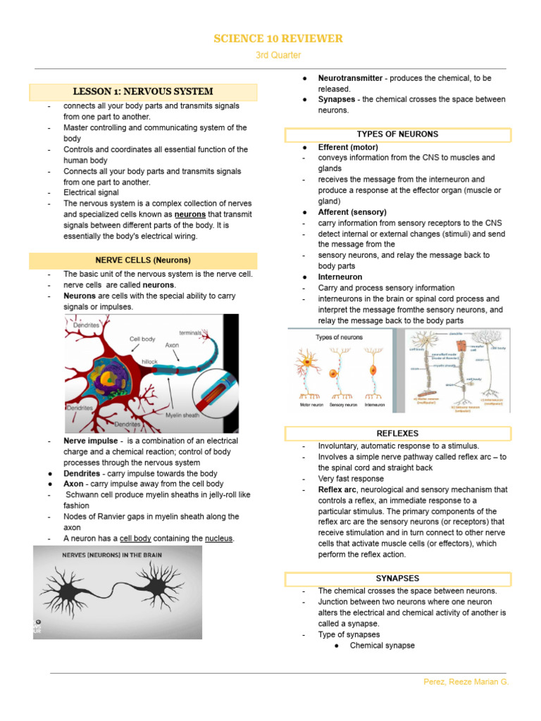SCIENCE 10 REVIEWER - 3rd Quarter | PDF | Menstrual Cycle | Nervous System