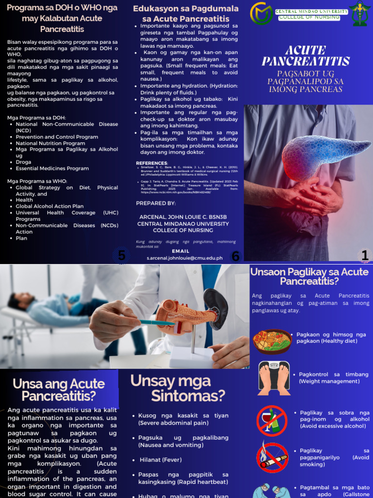 Arcenal Acute Pancreatitis Pem | PDF