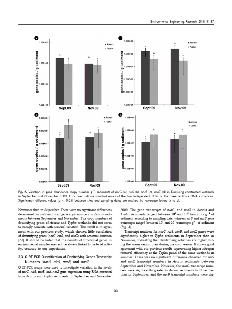 eer-20-1-51-5-pdf-biotechnology-nucleic-acids