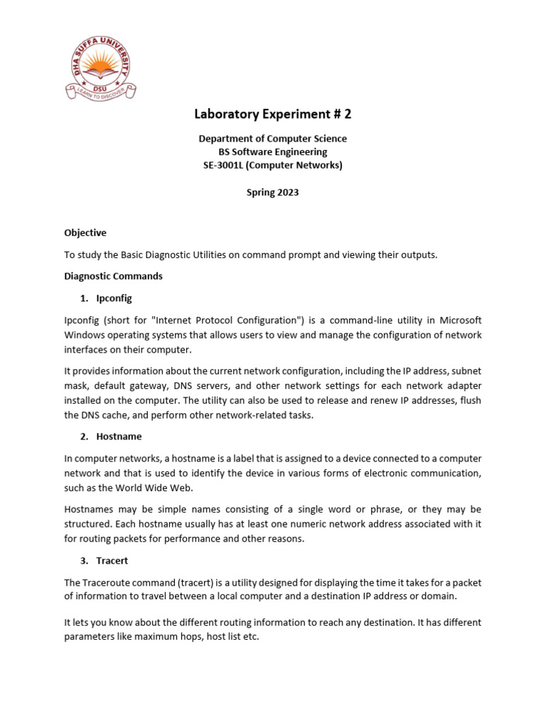 Lab 2 - Network Diagnostics - DSU | PDF | Computer Network | Domain Name System
