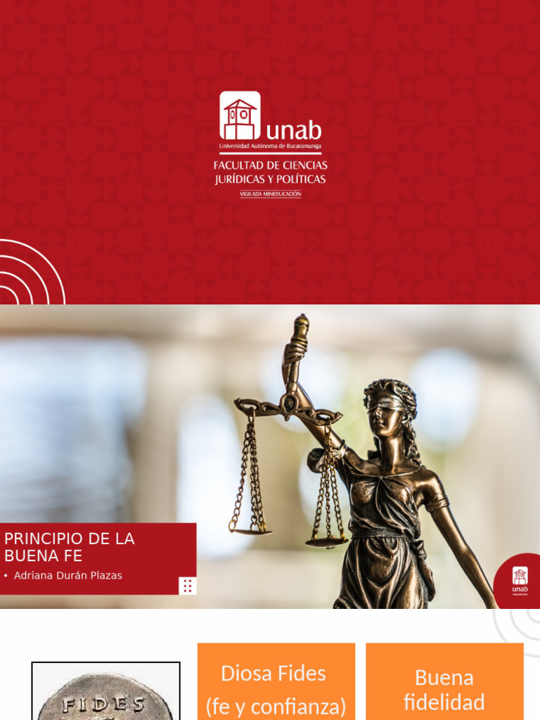 Principio BUENA FE | PDF | Justicia | Crimen y violencia