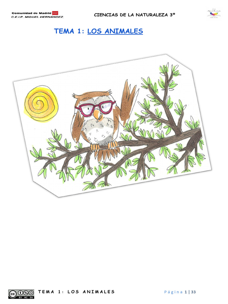 Los Animales Vertebrado Cap1 Tmp5 | PDF | Anfibio | Pescado