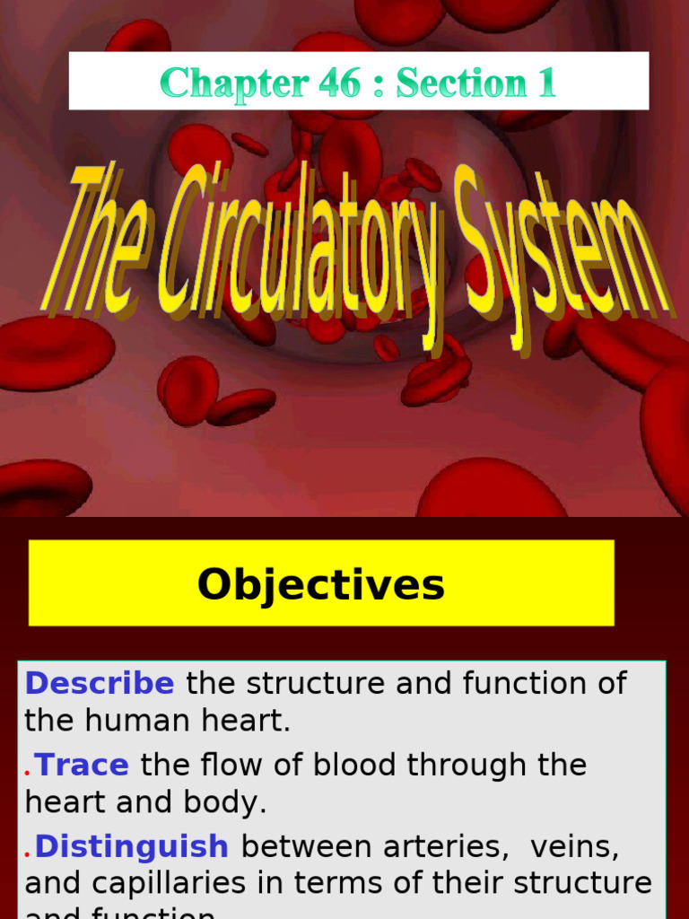Overview of the Human Circulatory System | PDF | Circulatory System | Heart