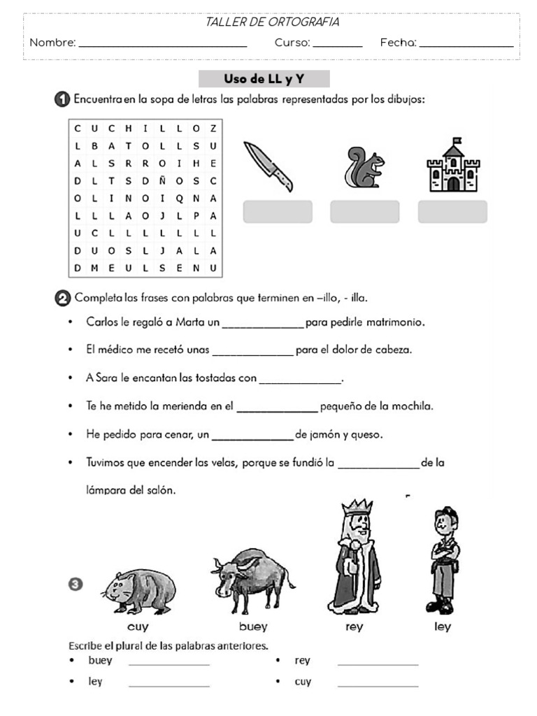 Ficha Uso de LL y Y | PDF