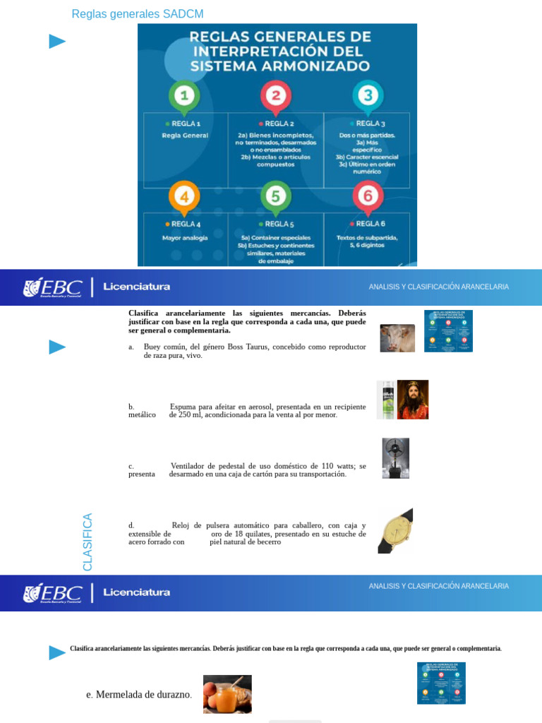 CLASIFICA USANDO REGLAS GENERALES Y COMPLEMENTARIAS PPT (1) | PDF