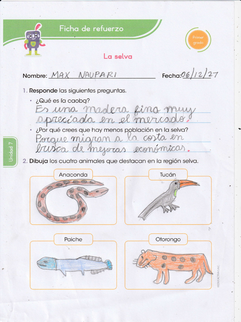 Fichas de animales de la selva | PDF