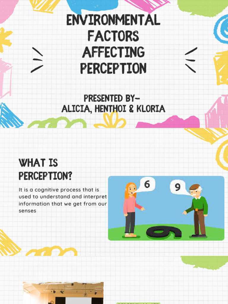Environmental Factors Affecting Perception | PDF | Perception | Affect (Psychology)