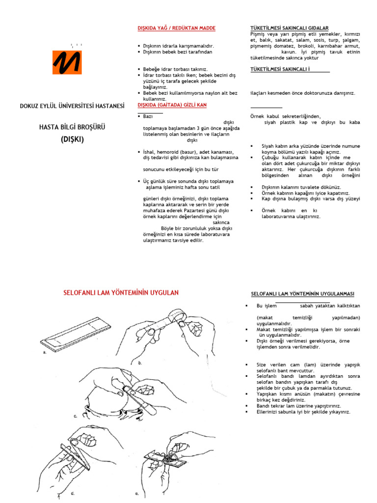 Merkez Lab Ek11 v2 | PDF