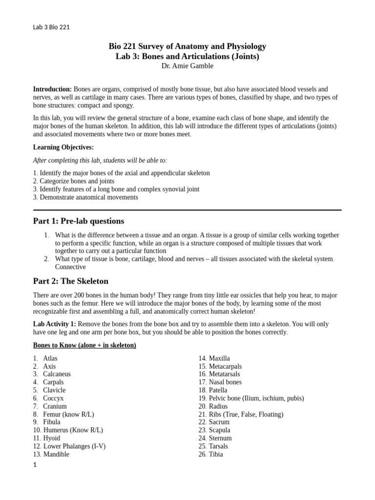 Anatomy Lab: Bones and Joints Overview | PDF | Anatomical Terms Of ...