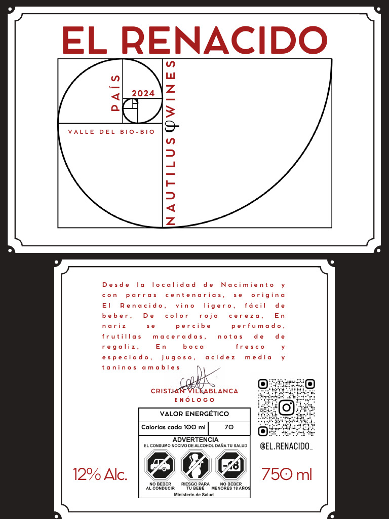 El Renacido 2 | PDF