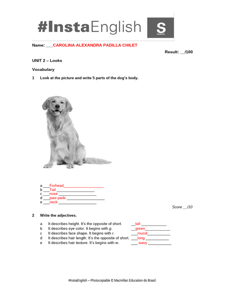 Carolina Alexandra Padilla Chilet | PDF | Dogs