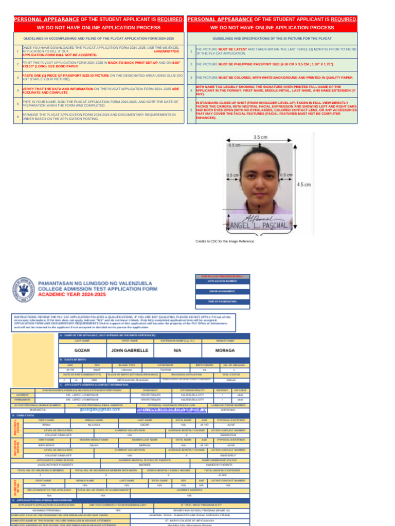 PLVCAT Application Guidelines 2024-2025 | PDF | Bachelor Of Science