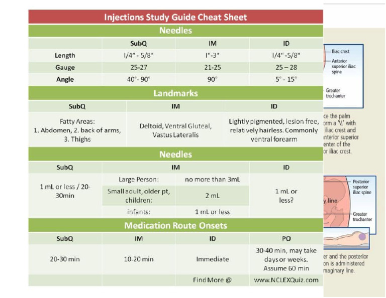 Intramuscular Ijection Sites | PDF