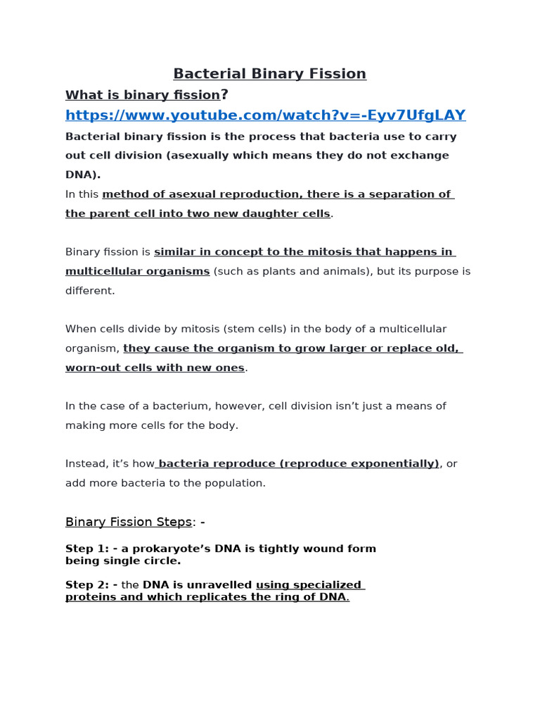 Bacterial binary fission | PDF | Mitosis | Cell (Biology)